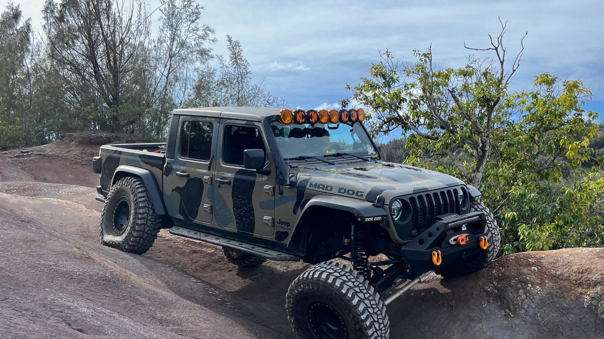 REVKIT | Mad-Dog